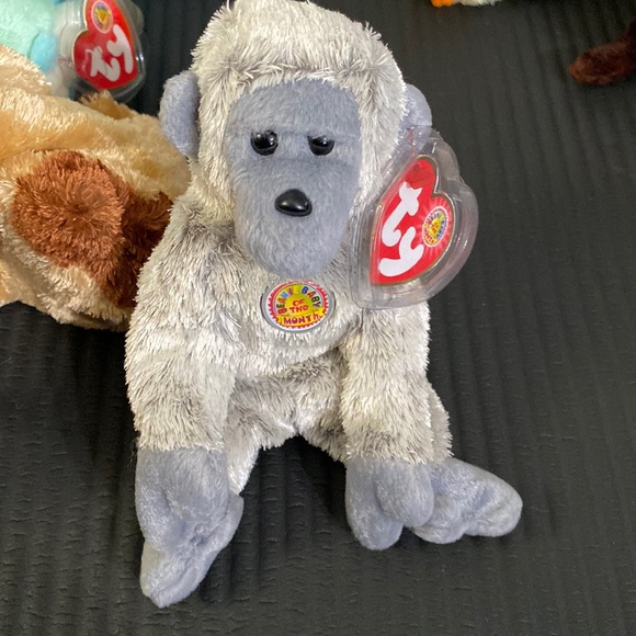 Ty | Toys | Ty Beanie Babies Baby Of The Month Virunga Gorilla Rare ...